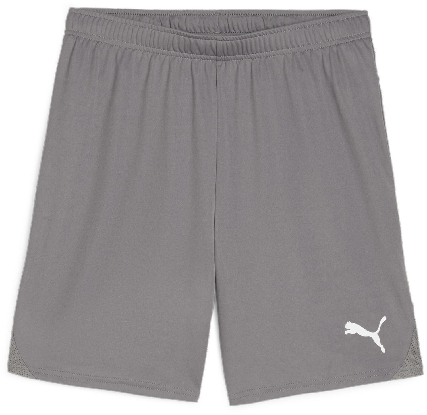 Puma teamGOAL Shorts - Cast Iron - Total Football Direct