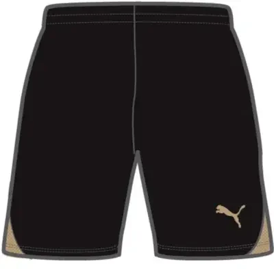 Puma boardshorts store
