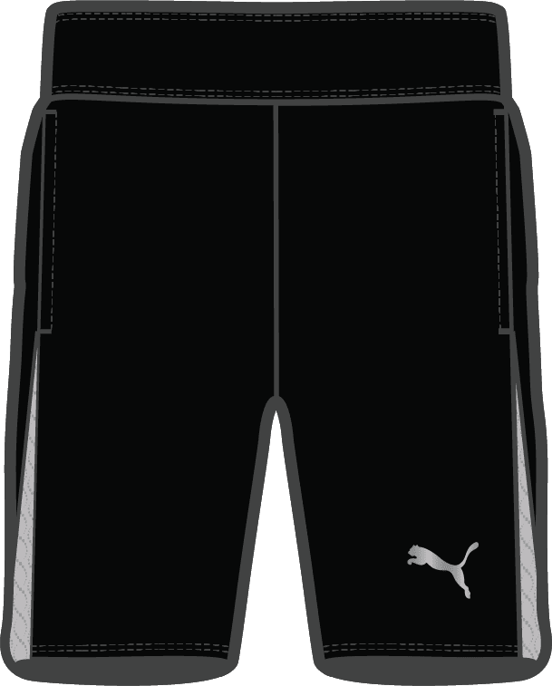 Suffolk FA 2025/26 Puma Match Official Shorts - Black - Total Football ...